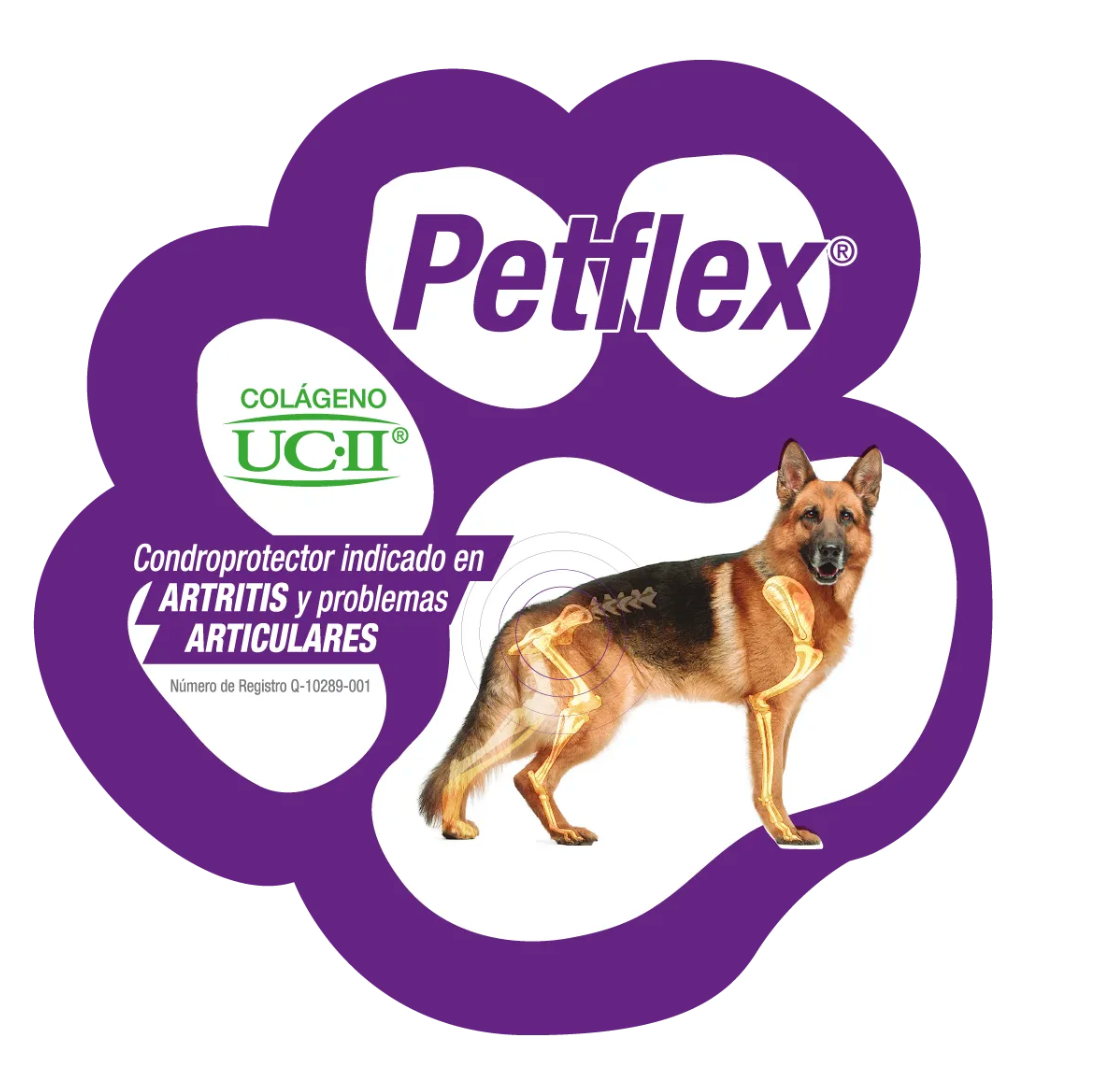 Petflex 30 Cap. - PetGel – Distribuidora Ean Pet´s