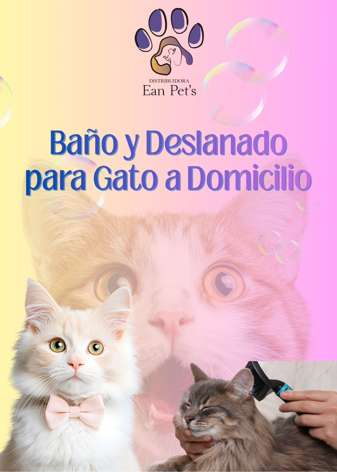 Caninsulin 10ml ( insulina ) - MSD – Distribuidora Ean Pet´s